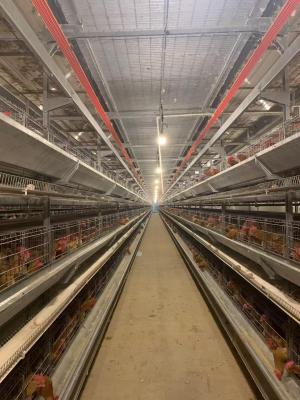 China IoT Digital Management EGG CHICKEN CAGE BREEDING EQUIPMENT Horizontal Sliding Door for sale