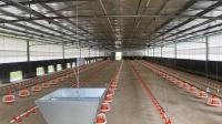 China Aluminum Magnesium Zinc Coated Frame Poultry Cage Equipment Seeder Feeding System Retractable Homogenizer for sale