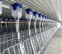 China High Load Capacity Goose Farming Equipment Automatic Water Bath Reinforced Slatted Floor for sale