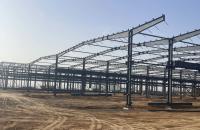 China Fast Construction Light Steel Structure Pigsties Typhoon Resistant Chicken Houses Pig Houses for sale