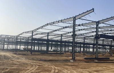 China Fast Construction Light Steel Structure Pigsties Typhoon Resistant Chicken Houses Pig Houses for sale