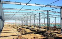 China Fast Construction Light Steel Structure Pigsties Typhoon Resistant Chicken Houses Pig Houses for sale