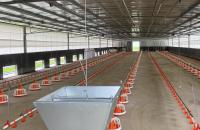 China Aluminum Magnesium Zinc Coated Frame Poultry Cage Equipment Retractable Seeder Homogenizer Integrated for sale