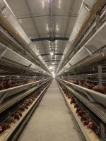 China Aluminum Magnesium Zinc Coated Frame Poultry Cage Equipment Retractable Seeder Homogenizer Integrated for sale