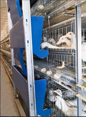 China H Shape Egg Duck Cage Equipment Mobile Feeding System Anti Mold Waterline Duck Specific Fountain for sale