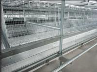 China H Shape Egg Duck Cage Equipment Mobile Feeding System Anti Mold Waterline Duck Specific Fountain for sale
