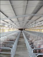 China Physiological Parameter Based Design Pig Breeding Equipment RFID Intelligent Sow Management Cable Tray for sale
