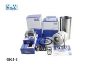 China 4JA1 4JG1 ISUZU Engine Parts 4JB1 Engine Rebuild Kit 4BG1 Cylinder Liner Kit for sale