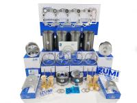 China 6550 6570 ISUZU 4HF1 ENGINE parts overhaul repair kit piston kit for sale