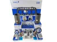 China 129906-22080 129906-22900+0.25 YANMAR 4TNV94 ENGINE overhaul repair kit for sale