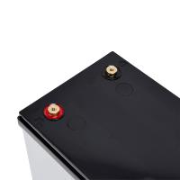 China High Rate Discharge AGM Battery 800W 12V For Data Center UPS System for sale