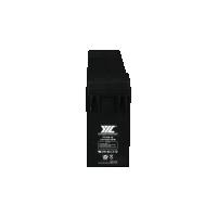 China Industrial VRLA Port Terminal FT Battery 12V 100AH Anti-Vibration for Reliable Backup Power for sale