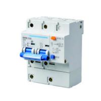 China SWMLE-100 Earth Leakage Circuit Breaker SERIES RCBO 1P 2P  Leakage Protector for Power Distribution Protection for sale