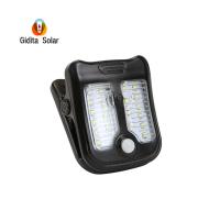 China IP65 Rated Garden Solar Sensor Light with 300lm Luminous Flux and Portable Design for sale