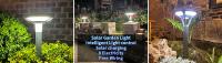China Outdoor Landscape Solar Light with 175lm/w Luminous Efficiency and 220V Input Voltage for sale