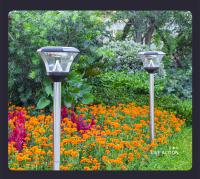 China Solar Garden Light LED Decoration Light Hang and Stand for Multipurpose Yard Lighting for sale