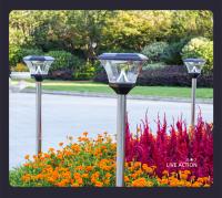 China Solar Garden Light LED Decoration Light Hang and Stand for Multipurpose Yard Lighting for sale
