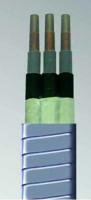 China 260°C（500°F） Electric Submersible Pump Cable for sale