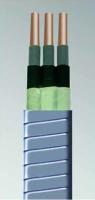 China Hot sale!205℃(401°F) Reda type flat Electric Submersible Pump Cable for sale