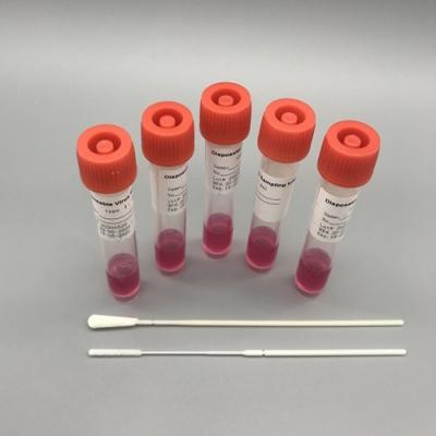 China Disposable Virus Sampling Kit 10ml Flocked Nylon Nasal Throat Swab for PCR Testing for sale