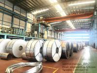 China Highly Functional Tinplate Sheets With Customizable Thickness And Dimensions For Industrial And Packaging Applications for sale