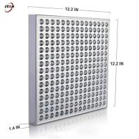 China Red Light Infrared Light Therapy 2KG for Improved Pain Management for sale