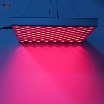 China Red Light Infrared Light Therapy 2KG for Improved Pain Management for sale