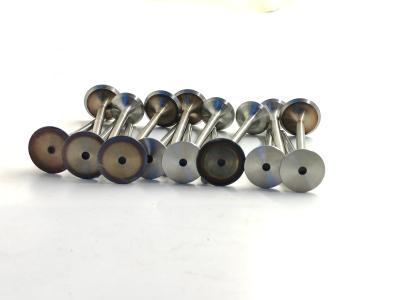 China Mported Volkswagen Jetta Syncro 2013-2014 Intake And  Exhaust Valves 03C109601J for sale