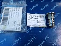 China Hot selling camshaft control valve-20 06J109257S for BMW B9 for sale
