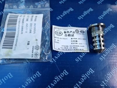 China Hot selling camshaft control valve-20 06J109257S for BMW B9 for sale