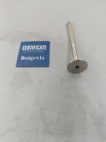 China Hot selling exhaust valve 9811144480 for Citroen for sale