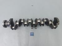 China One stop purchasing of crankshaft 11217812954 for N57D30 with 4 counterweights for sale