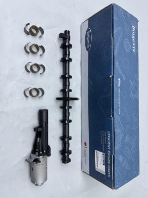 China One stop sourcing of eccentric shafts 1137 7630 747 for BMW N20 for sale