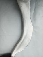 China Hot selling left hand lower control arm 311 2677 5971 for F18 for sale