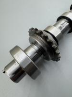 China High Sales Camshaft / Intake 22 Teeth 9825 6553 80 for Peugeot 308 for sale