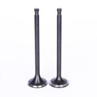 China High-quality Intake Valve 04E 109 601 AB for Imported Volkswagen Passat for sale