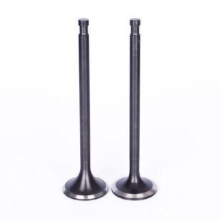 China High-quality Intake Valve 04E 109 601 AB for Imported Volkswagen Passat for sale