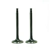 China High-quality Intake Valve 04E 109 601 AB for Imported Volkswagen Passat for sale