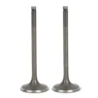 China High-quality Intake Valve 04E 109 601 AB for Imported Volkswagen Passat for sale