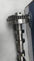 China High quality Intake Camshaft 06J109021GBGWS for EA888 for sale