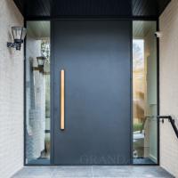 China Luxury Style Top Quality Black Color Bright Painting Side Glass Fixed Panel Front Pivot Door with Stainless Steel Handle for sale
