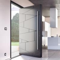 China Malaysia  Style  Light Pattern Security Steel Matte Black Finish Bright Color  Pivot Door with Stainless Steel Handle for sale