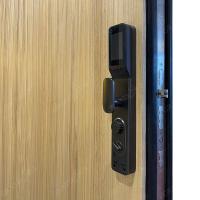 China Italian Front Door Design Villa Pivot Entrance Security Luxury Front Pivot Door Modern Entry Black Aluminum Pivot Door for sale