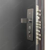 China Modern Style High Quality Cast Steel Easy Pattern Power Coated Surface Swing Door for Villa for sale