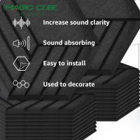 China GymQuiet Black PET Acoustic Panel – High-Density Sound Absorption For Fitness Centers & Sports Facilities for sale