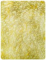 China Yellow Python Pattern Texture Pearl Acrylic Sheets 1850x1040mm for sale
