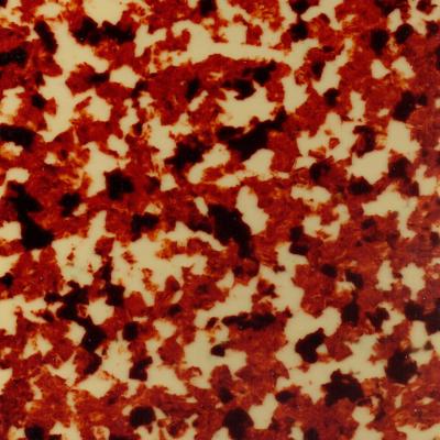 China Alkali Resistance High Strength Celluloid Plastic Sheet For Hair Clips for sale