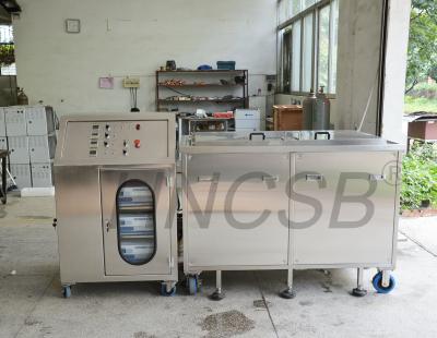 China Two Tank Industry Ultrasound Bath Carburetor Engine Block Parts Degreaser Mold Screw Nut Metal Ultrasonic Cleaner for sale