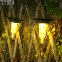 China IP55 Waterproof LED Solar Garden Lights 2V 500MA 1W Outdoor Solar Lamp for sale