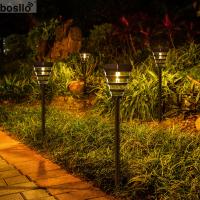 China Outdoor Solar Garden Lights with 8-10 Hours Working Time and Durable Design for sale